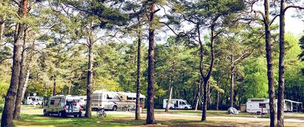 Camping - Regenbogen AG