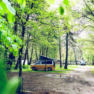 Prerow - Regenbogen AG